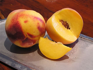 Indian Blood Peach – Trees of Antiquity