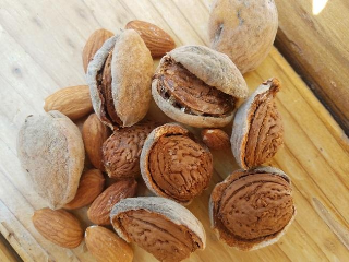Ne Plus Almond – Trees of Antiquity