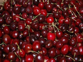 Cherry Trees