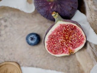 Flanders Fig – Trees of Antiquity